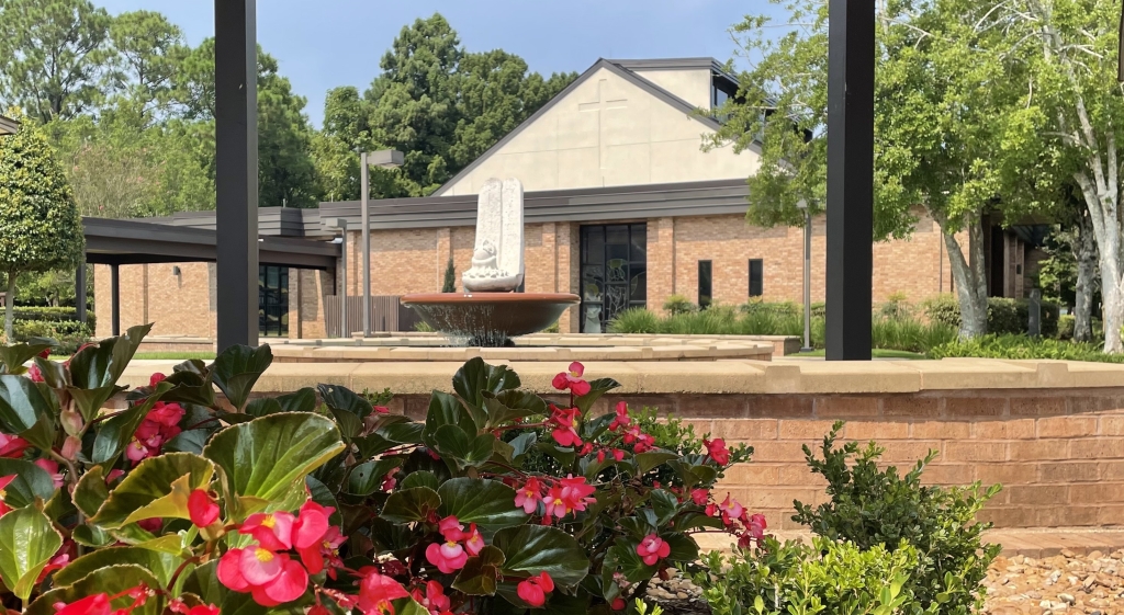 From Sanctuary to Screen: St. Patrick’s AV Transformation - PureLink AV